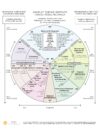 Using DMM attachment theory to help clients and parents | mindGAINS